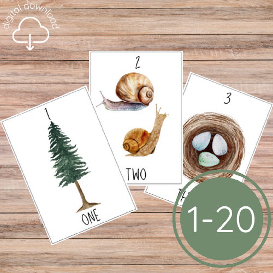 Nature Themed Number Flashcards 1-20, Homeschool Montessori Printable ...