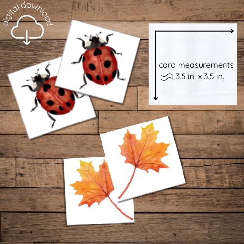 Nature Themed Memory Game, Preschool Toddler Matching Activity ...