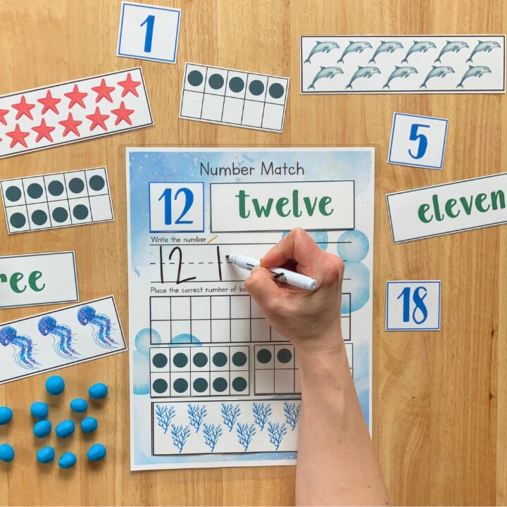 Ocean Themed Number Match Activity, 1-20, Counting Practice, Preschool ...
