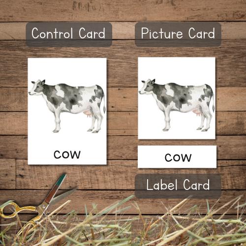 Farm Animal Nomenclature 3-part Cards, Montessori Resource, Homeschool ...