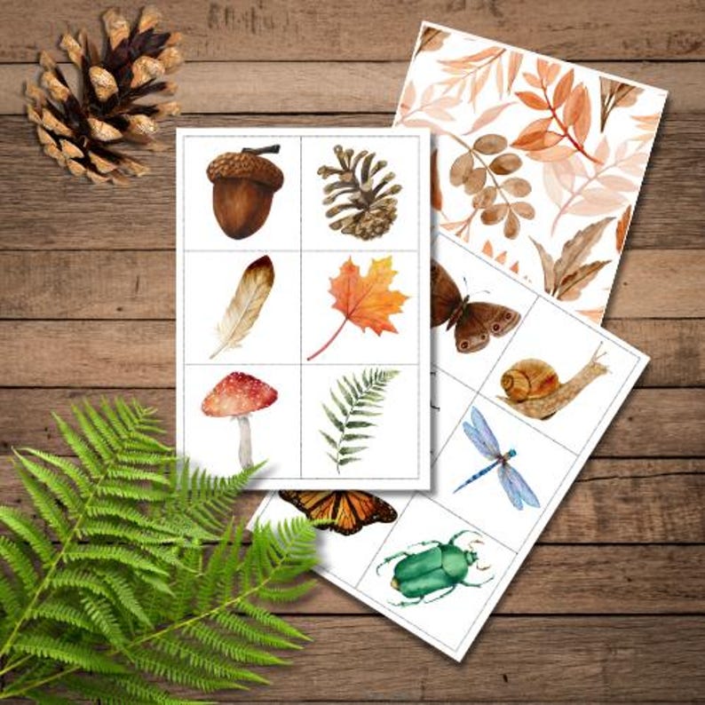 Nature Themed Memory Game, Preschool Toddler Matching Activity ...