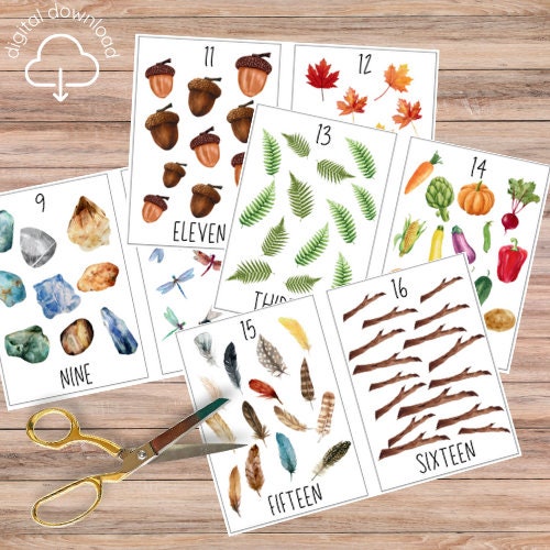 Nature Themed Number Flashcards 1-20, Homeschool Montessori Printable ...
