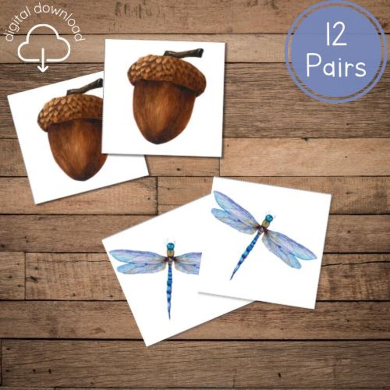 Nature Themed Memory Game, Preschool Toddler Matching Activity ...