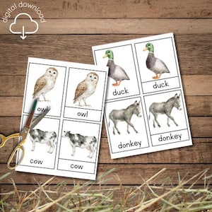 Farm Animal Nomenclature 3-part Cards, Montessori Resource, Homeschool ...