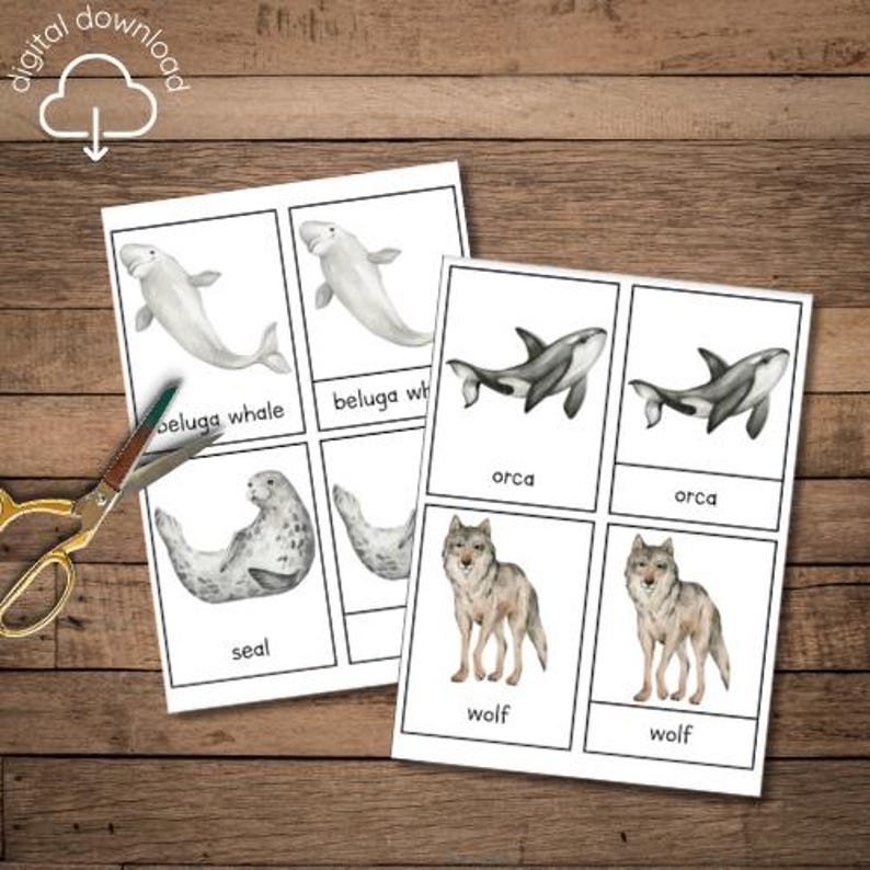 Polar Animal Nomenclature 3-part Cards, Montessori Homeschool Activity ...