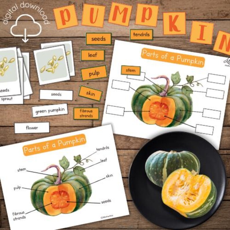 Pumpkin Unit Mini Study, Fall Autumn Activities, Charlotte Mason ...
