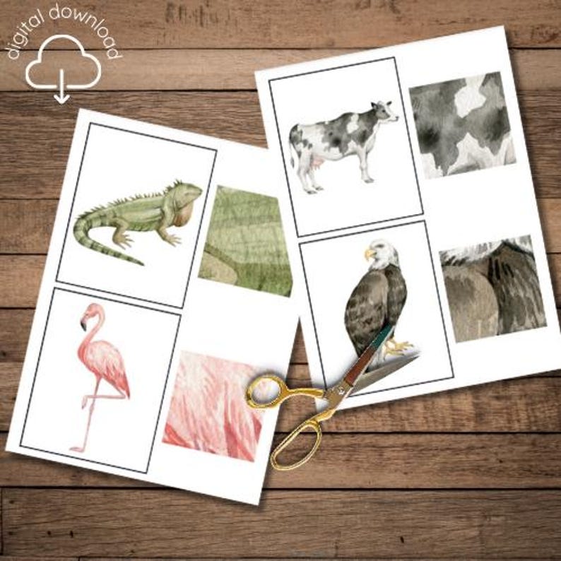 Animal Pattern Matching Activity, Toddler Preschool Nature Study ...