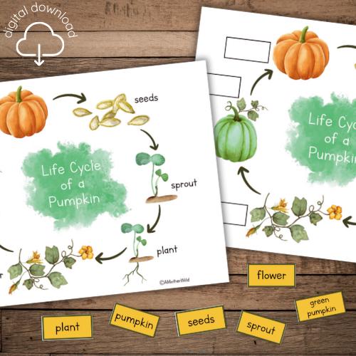 Pumpkin Unit Mini Study, Fall Autumn Activities, Charlotte Mason ...