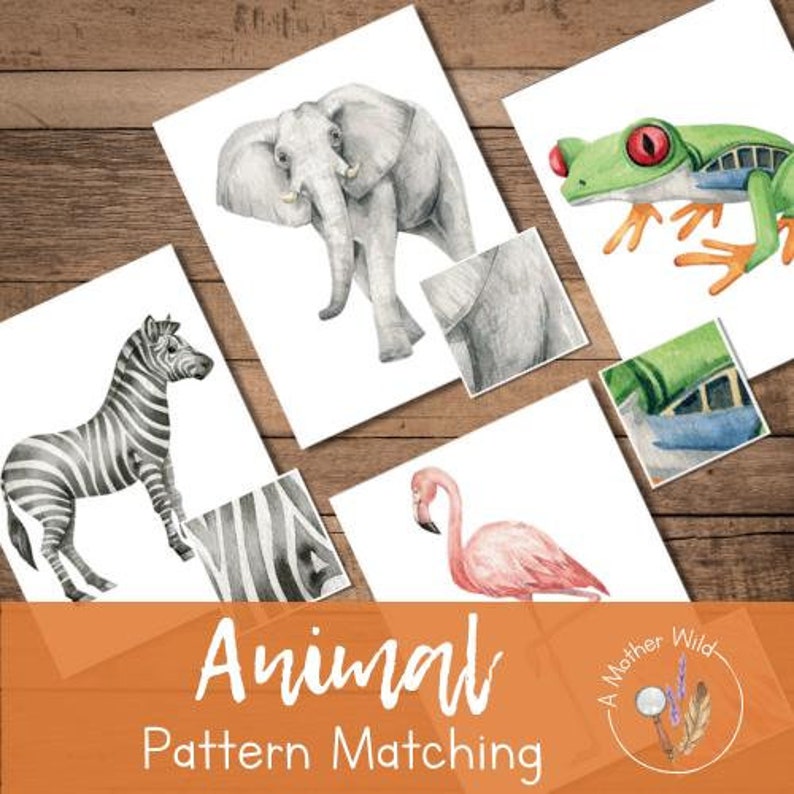 Animal Pattern Matching Activity, Toddler Preschool Nature Study ...