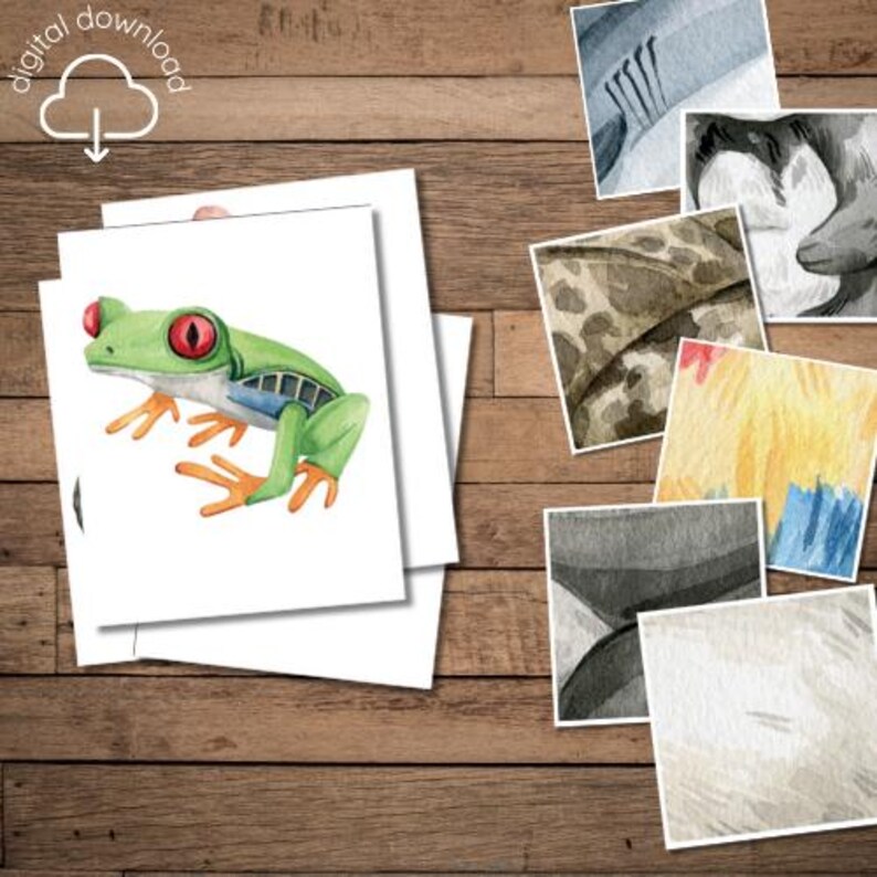 Animal Pattern Matching Activity, Toddler Preschool Nature Study ...