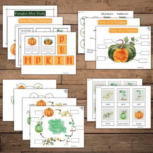 Pumpkin Unit Mini Study, Fall Autumn Activities, Charlotte Mason ...