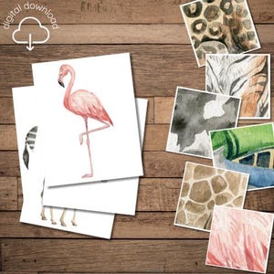 Animal Pattern Matching Activity, Toddler Preschool Nature Study ...