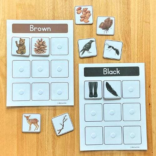 Color Match, Color Sorting Activity, Toddler Preschool Kindergarten ...
