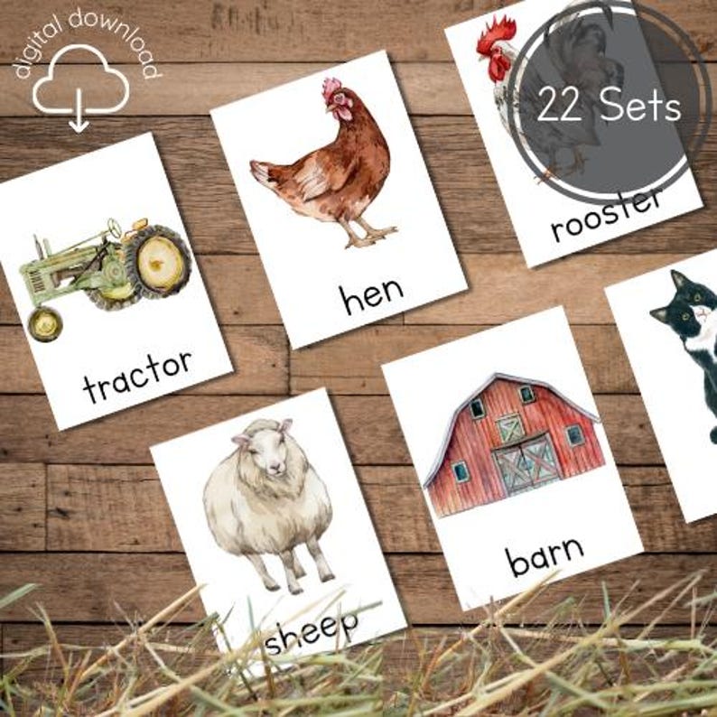Farm Animal Nomenclature 3-part Cards, Montessori Resource, Homeschool ...