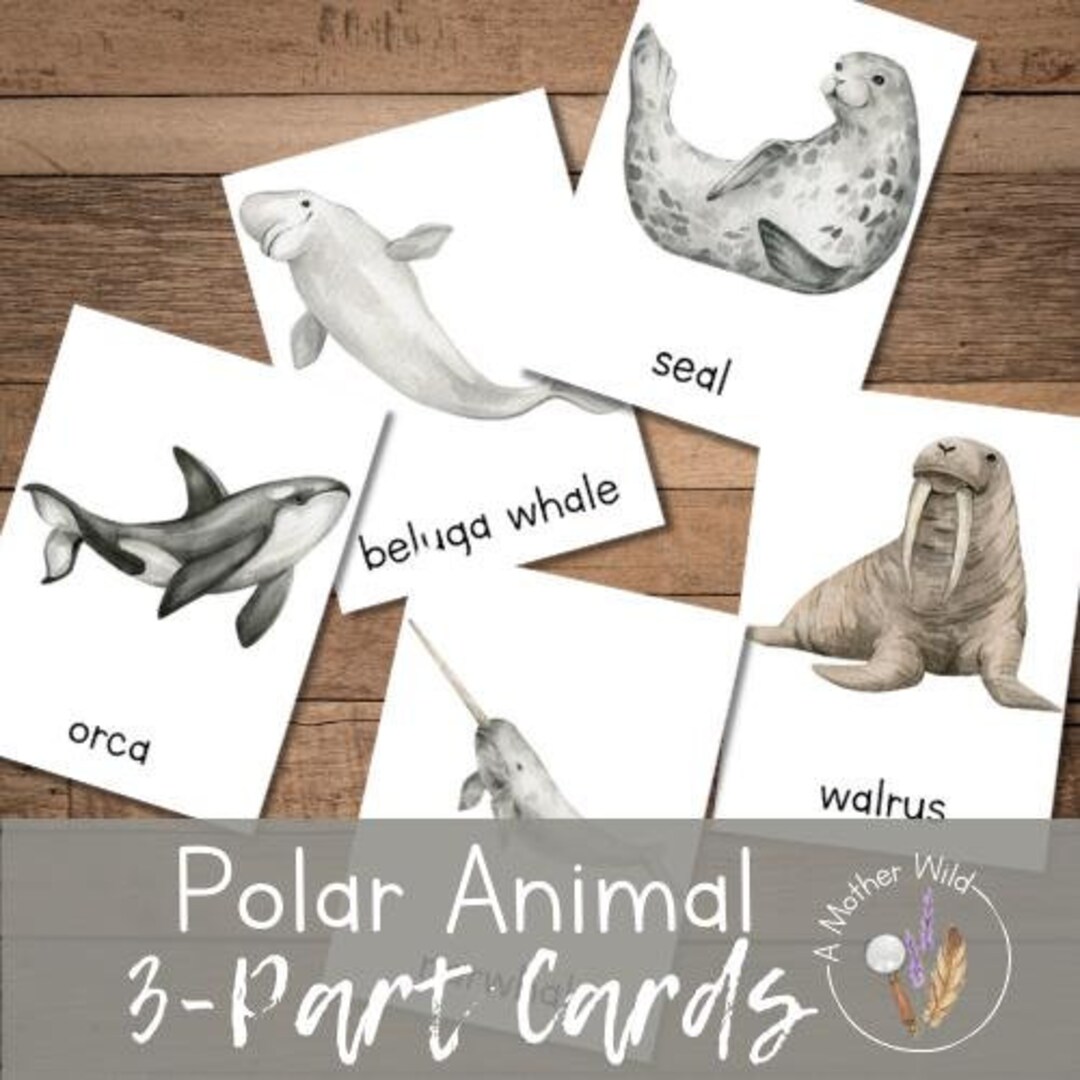 Polar Animal Nomenclature 3-part Cards, Montessori Homeschool Activity ...