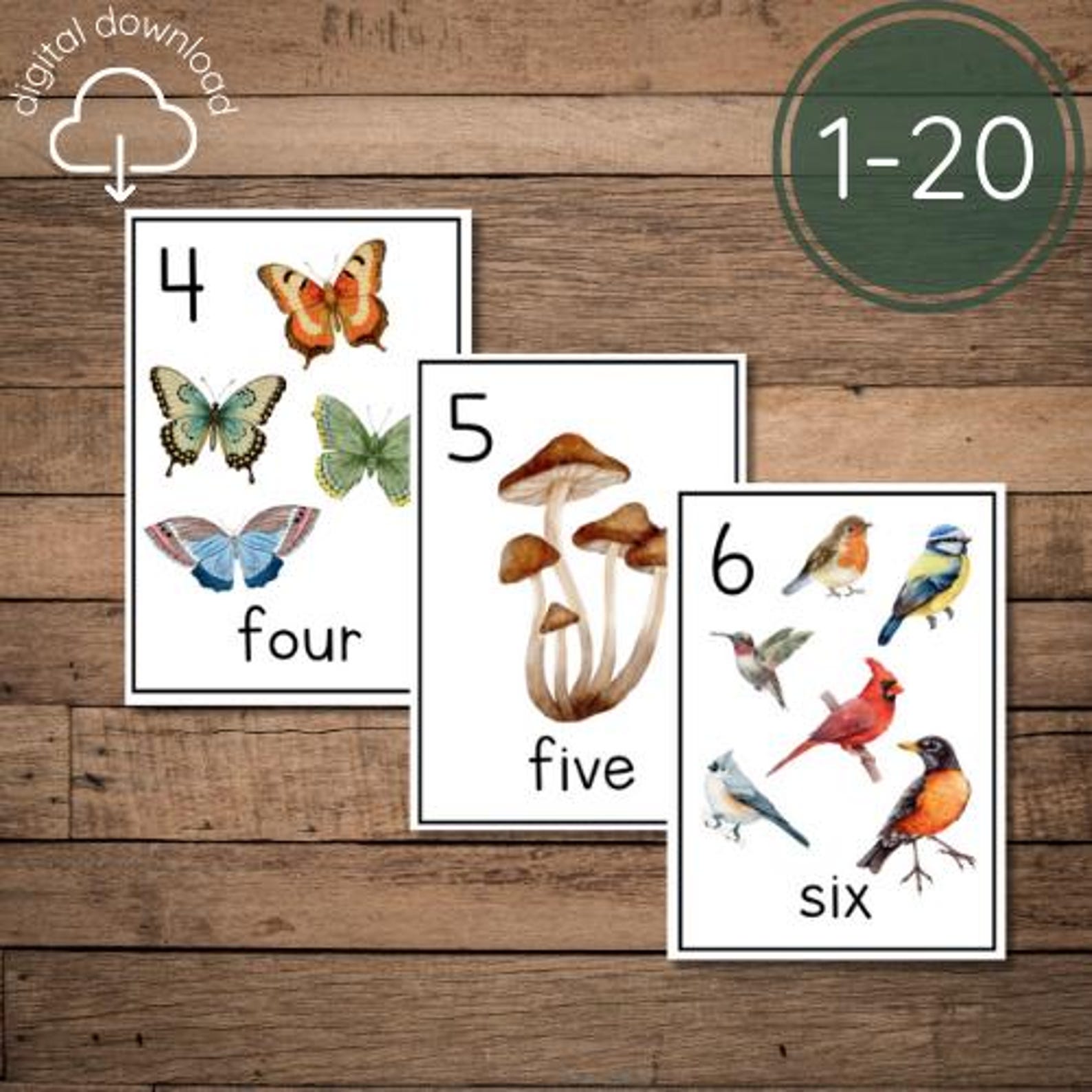 Nature Themed Number Flashcards 1-20, Homeschool Montessori Printable ...