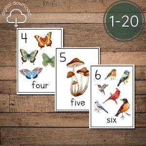 Nature Themed Number Flashcards 1-20, Homeschool Montessori Printable ...