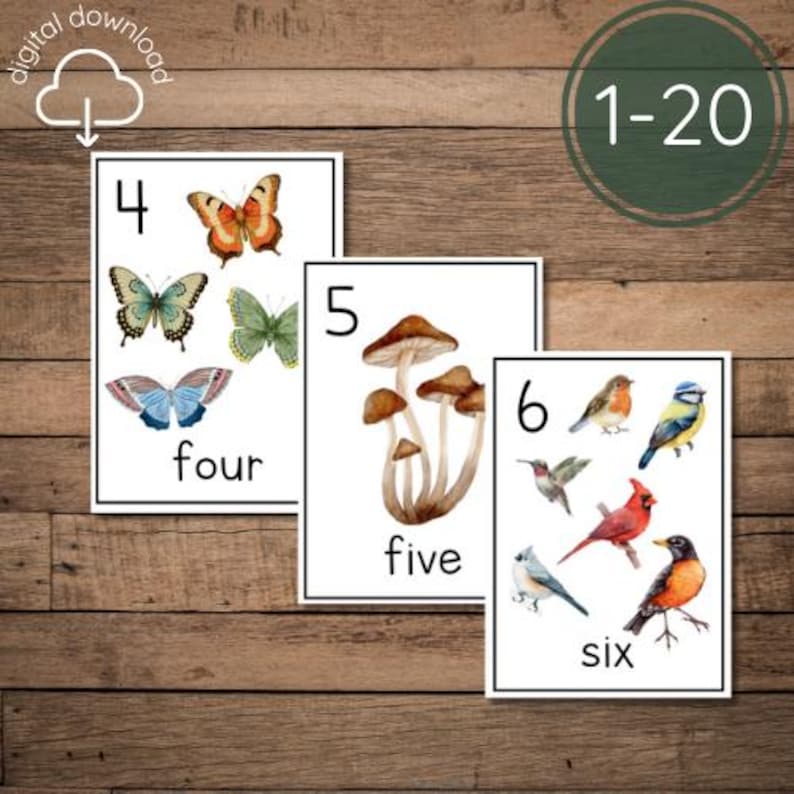 Nature Themed Number Flashcards 1-20, Homeschool Montessori Printable ...
