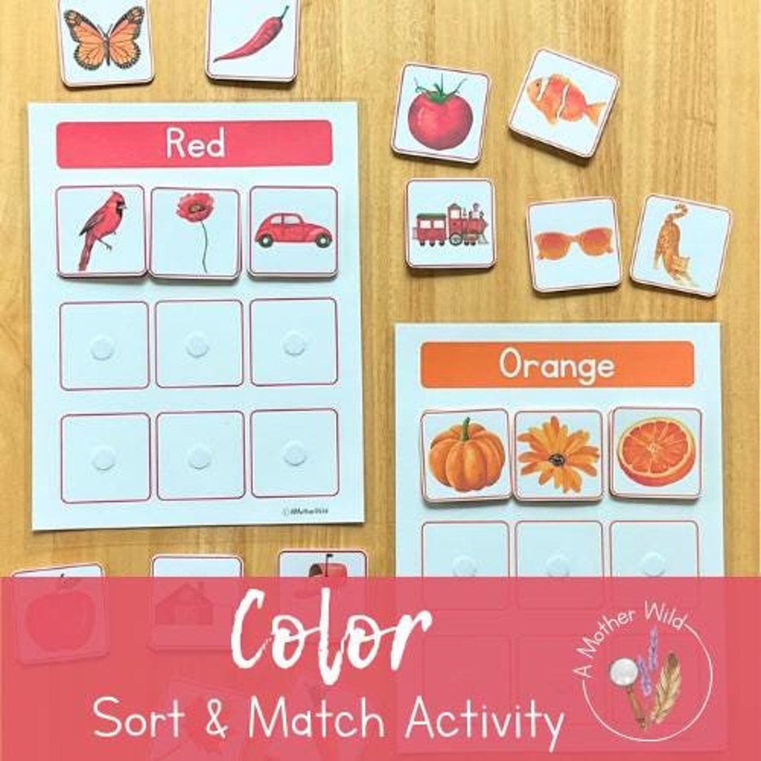 Color Match, Color Sorting Activity, Toddler Preschool Kindergarten ...