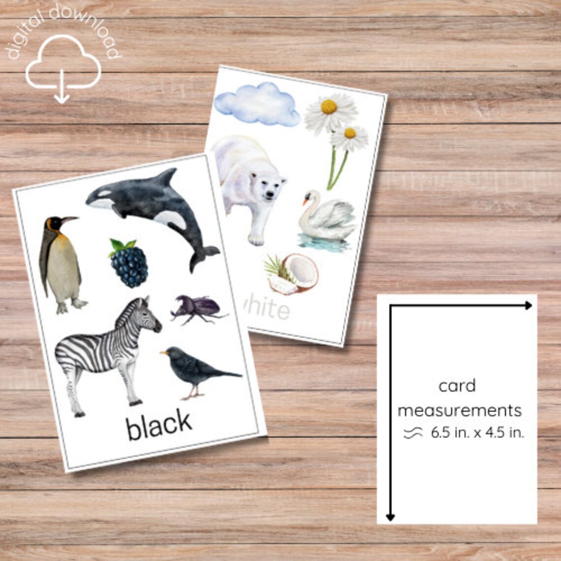 Nature Color Cards, Preschool Montessori Printable, Homeschool Nature ...