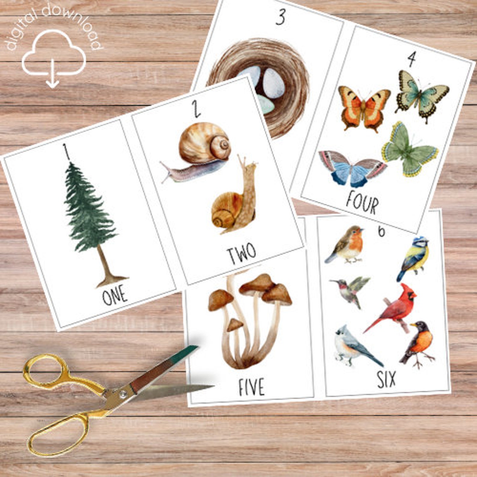 Nature Themed Number Flashcards 1-20, Homeschool Montessori Printable ...