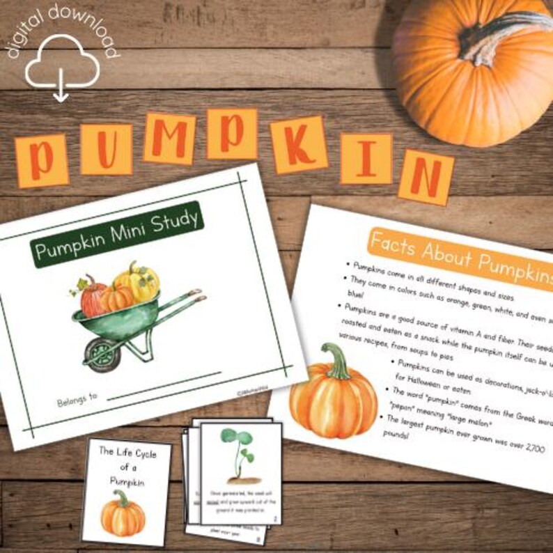 Pumpkin Unit Mini Study, Fall Autumn Activities, Charlotte Mason ...
