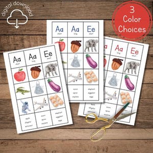 Beginning Letter Sound Sort, Initial Sound Matching Activity ...