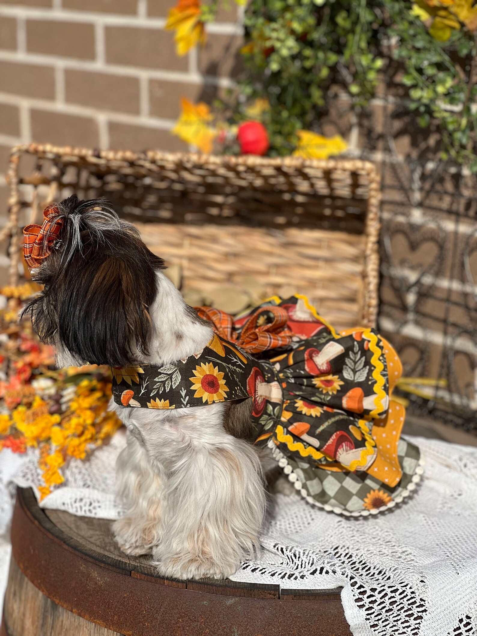 Toadstool Ruffled Dress - Etsy