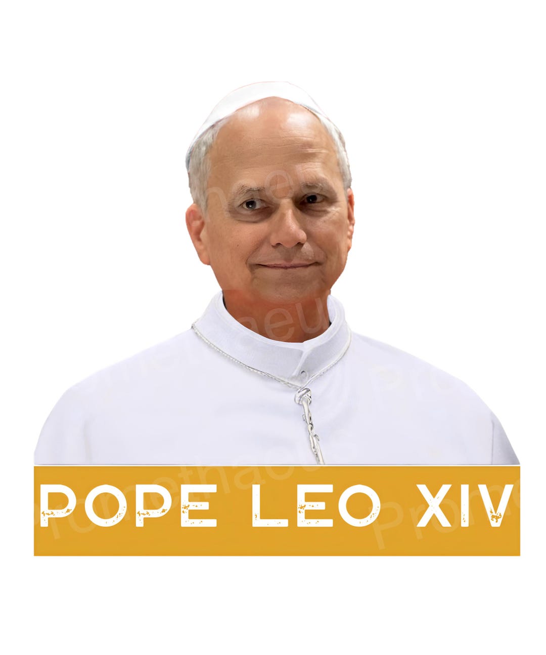 Printable Wall Art New Pope Leo XIV Catholic Artwork Pope Leo the 14th ...
