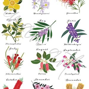 Native Australian Birth Flowers Poster | Native Birth Flower Poster ...