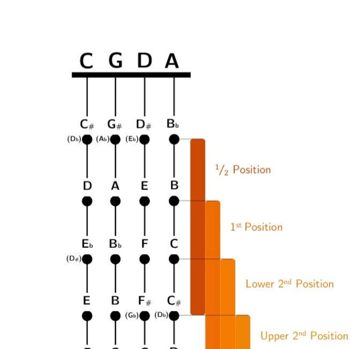 Cello Fingerboard Positions (1-7) - Poster - Digital Download - A1 and ...