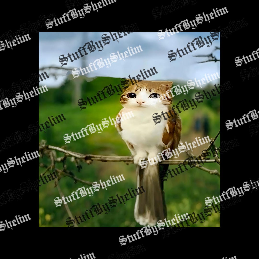 I'm A New Soul Funny Cat Owl Meme PNG, Funny Meowl Meme Sublimation ...