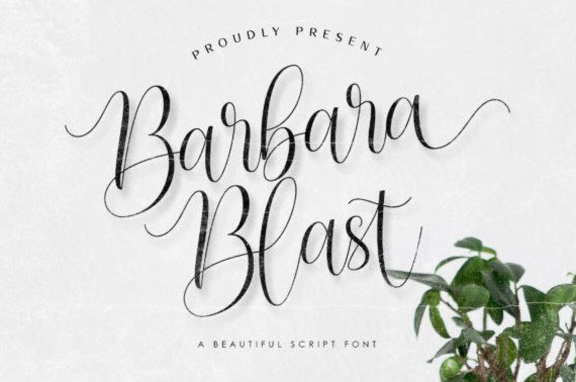Barbara Blast Font, Minimalist Bold Font, Cricut Fonts, Casual Font ...