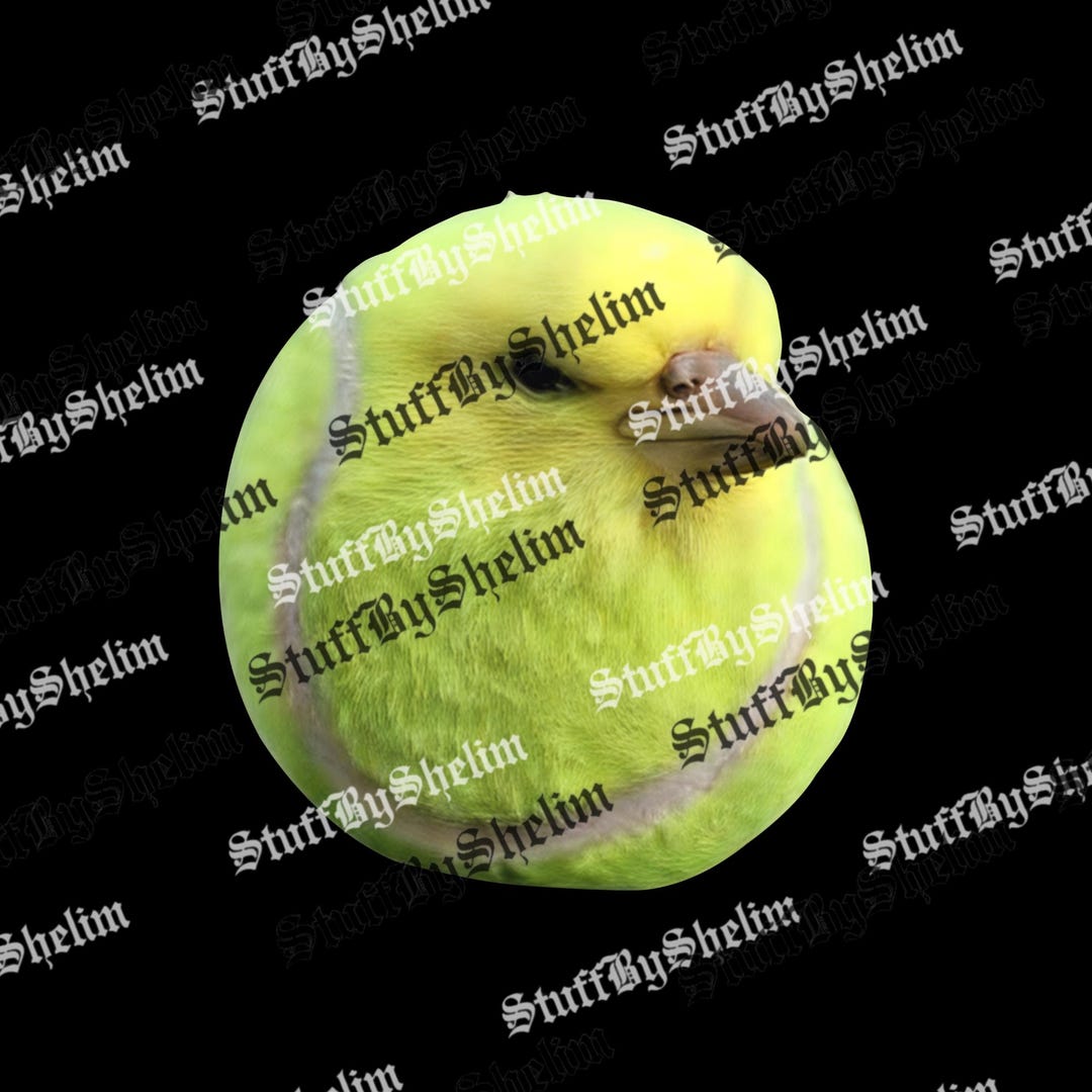 Dummer Tennisvogel Meme Brainrot Gen Z PNG, eigentümliche spezifische ...
