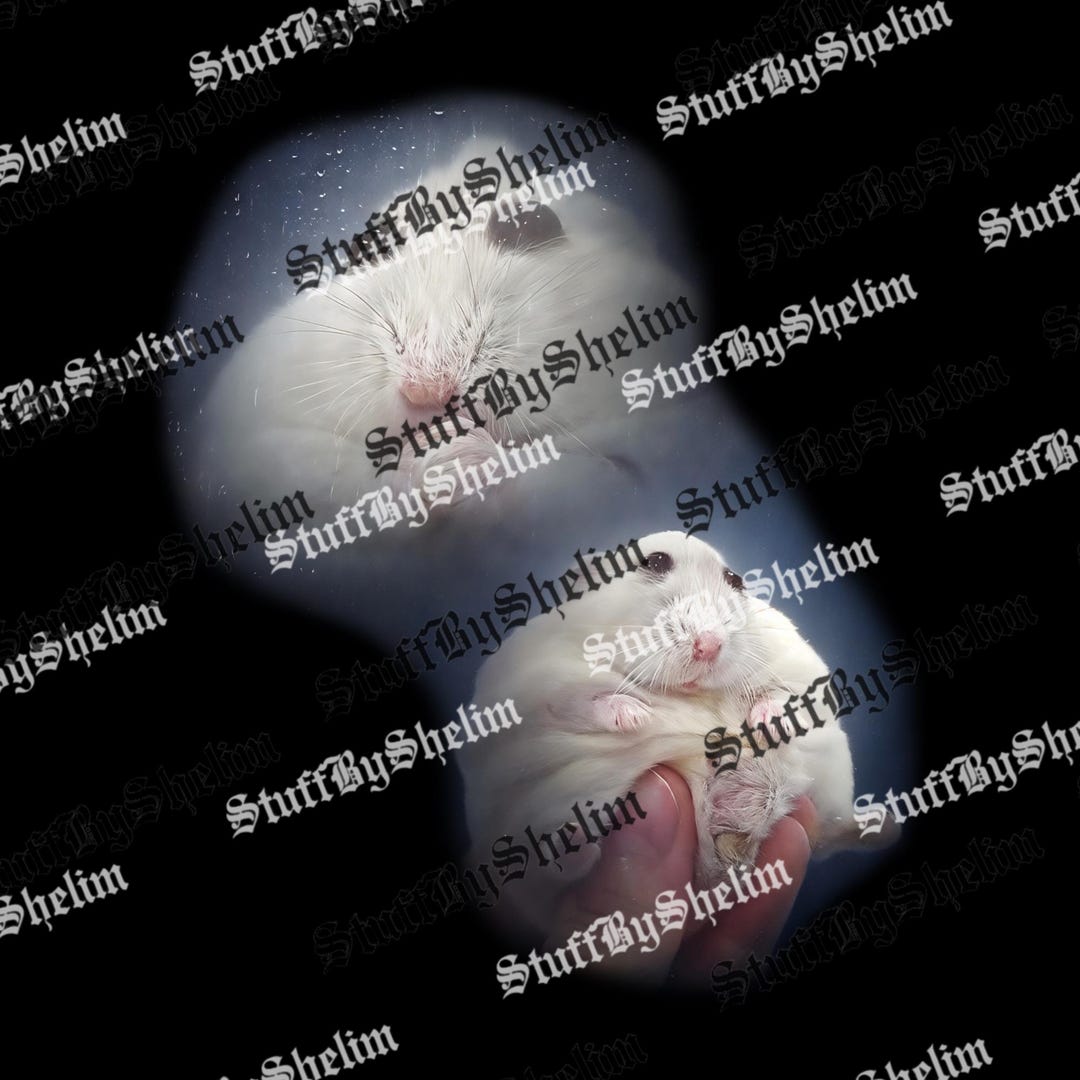 Hamster Pet Portrait PNG, Animal SVG, Unisex Meme Cringe Funny File ...