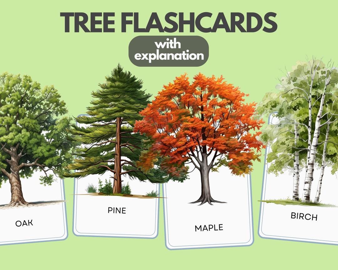 Tree Flashcards German Montessori Flashcards for Children to Learn - Etsy