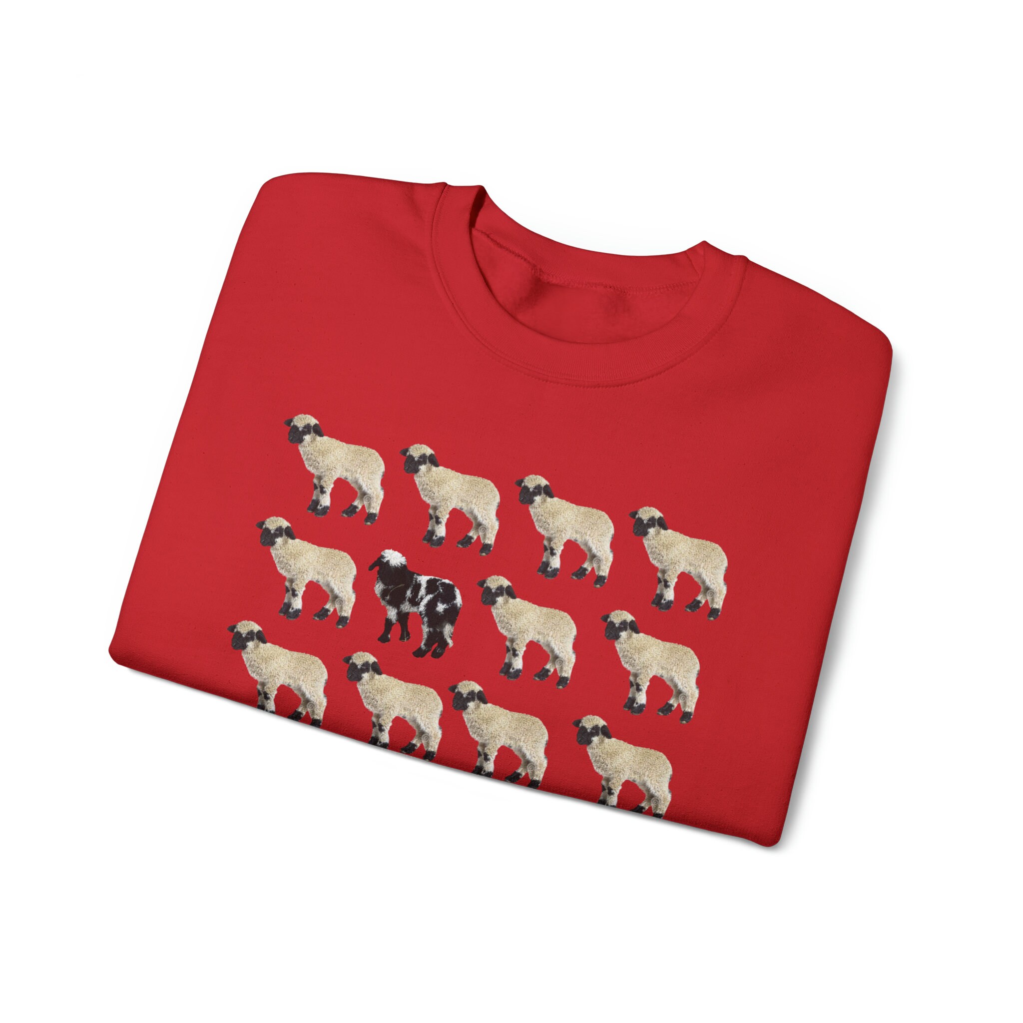 Lady Di Black Sheep Sweatshirt With Lambs, Valais Blacknose Spitti ...