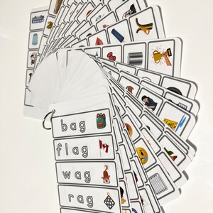 Printable CVC (consonant Vowel Consonant) Word Families Phonics Picture ...
