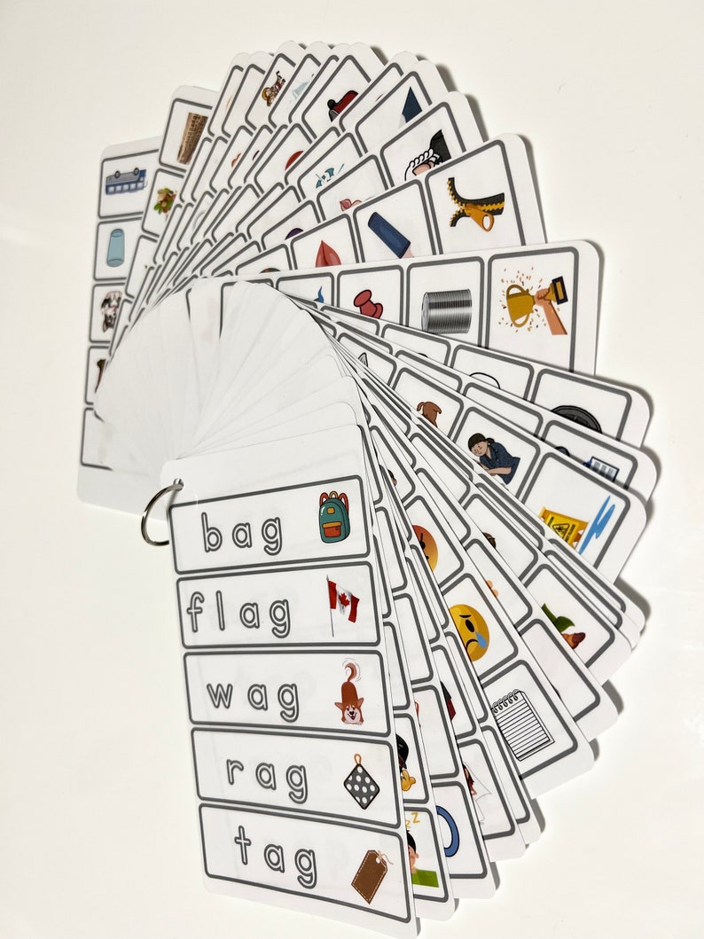 Printable CVC consonant Vowel Consonant Word Families - Etsy Canada