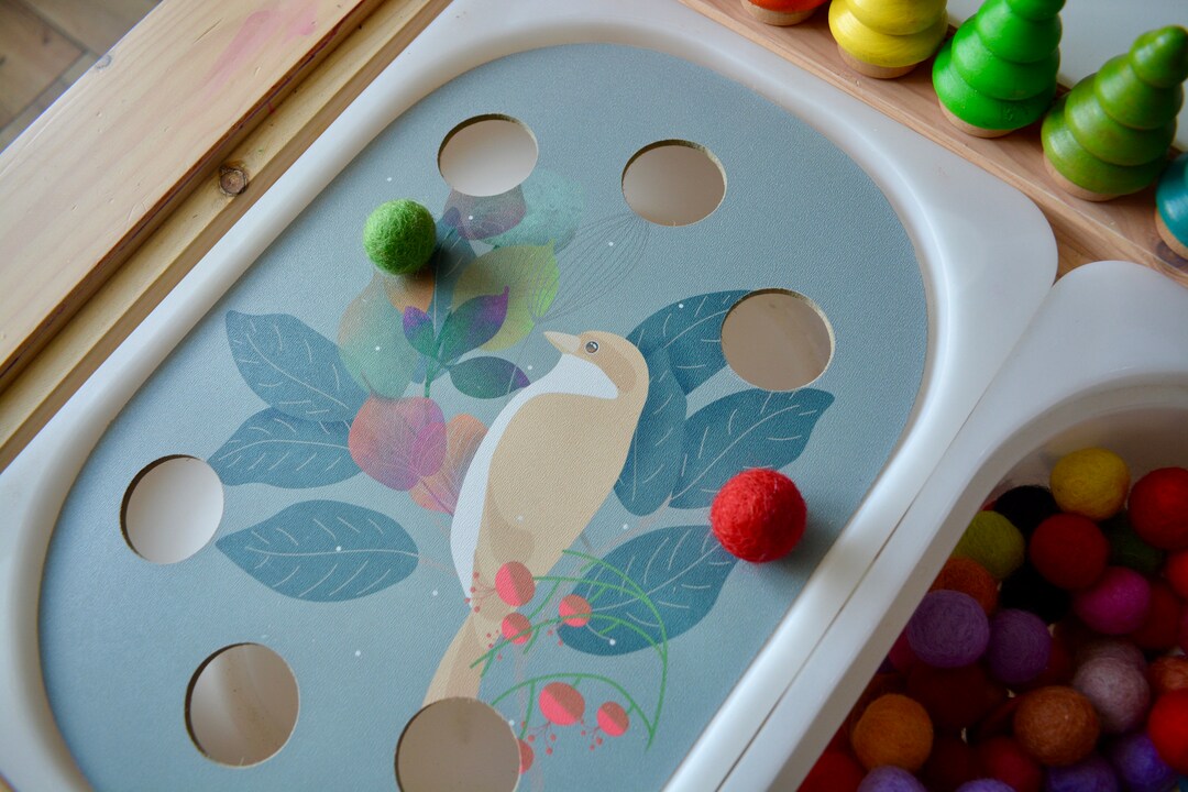 Insert/trofast Plates/flisat MONTESSORI BIRD Wooden Toy Children's Gift ...