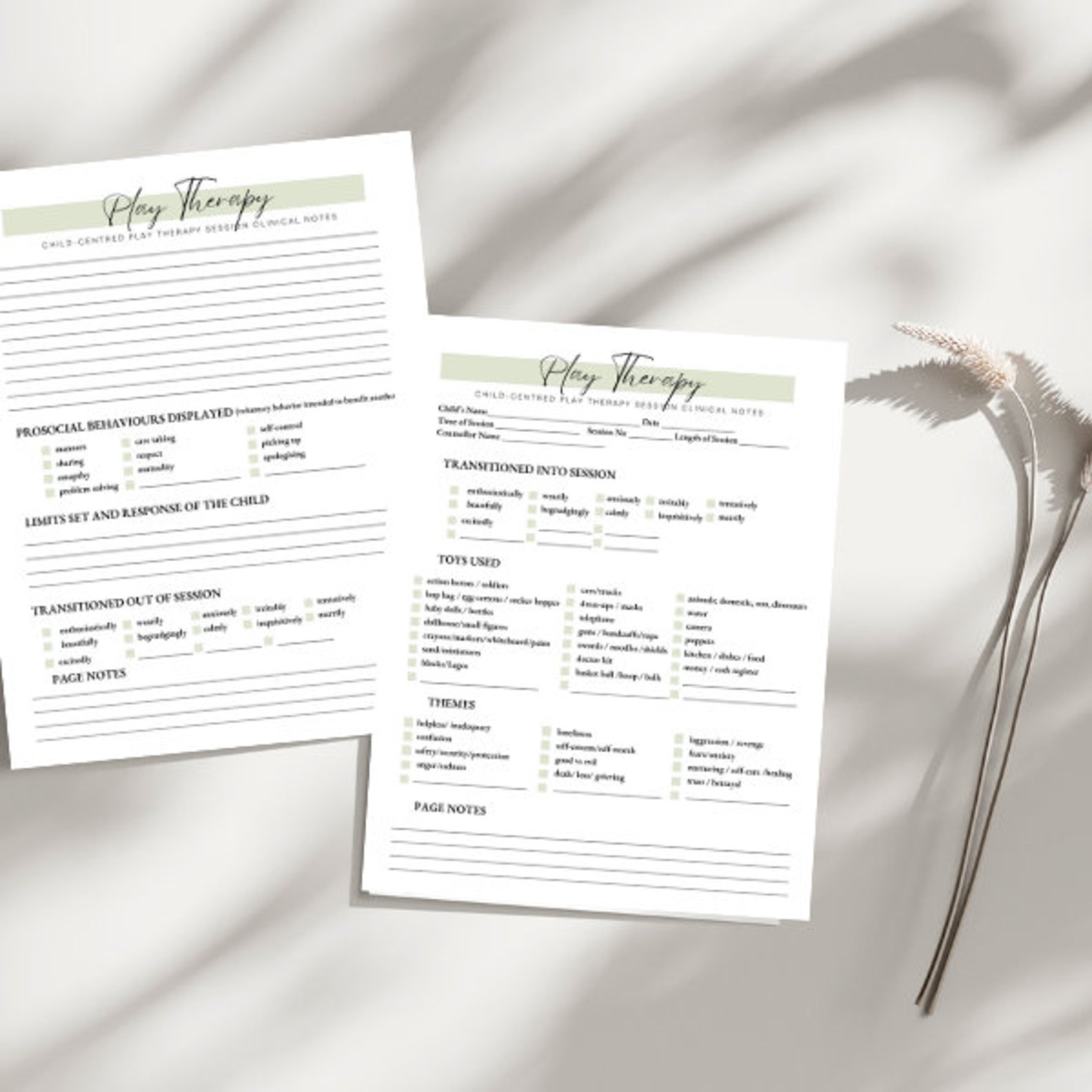 Child Centered Play Therapy Session Notes: Therapist Tool (digital ...