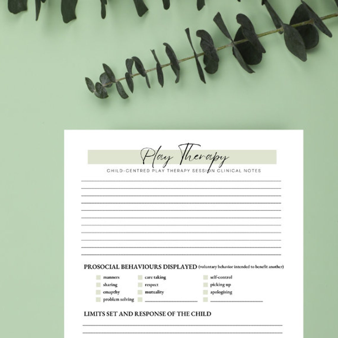 Child Centered Play Therapy Session Notes: Therapist Tool (digital ...