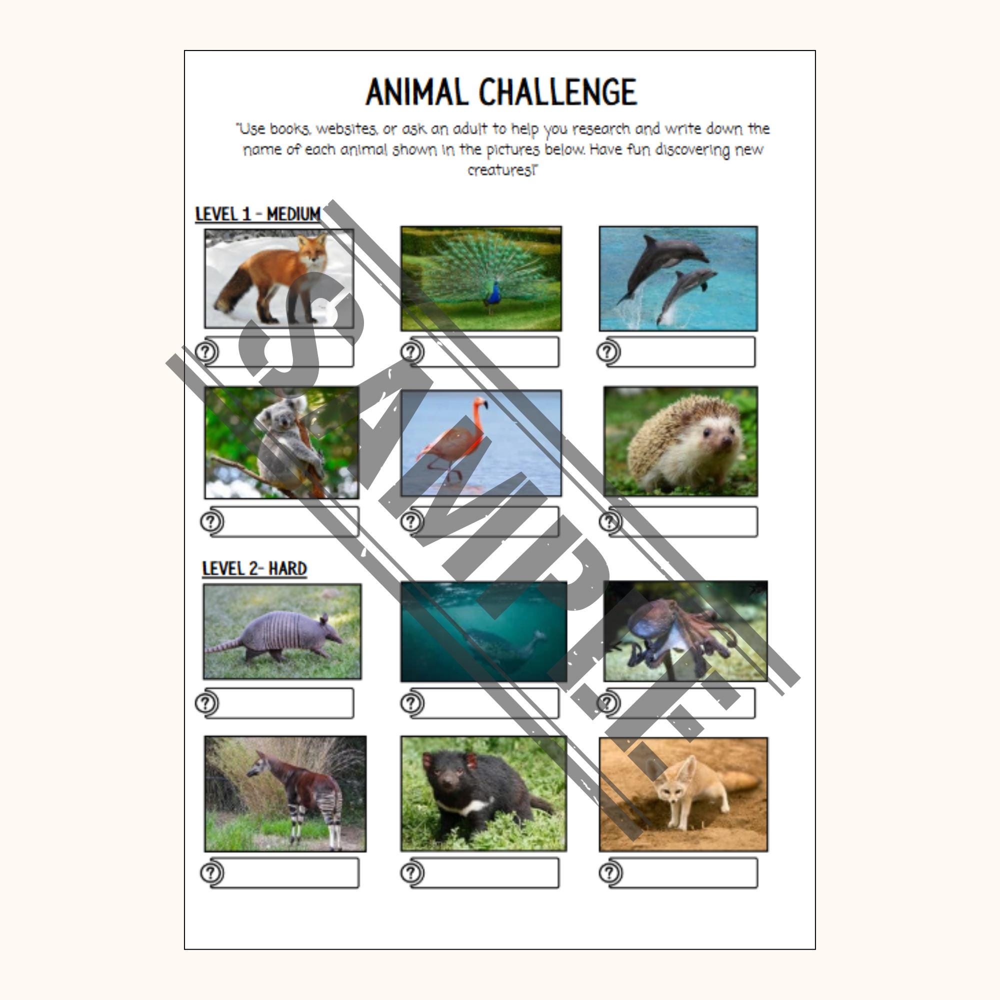 World Explorer Quiz Bundle Printable | Geography Worksheets for Kids 7 ...