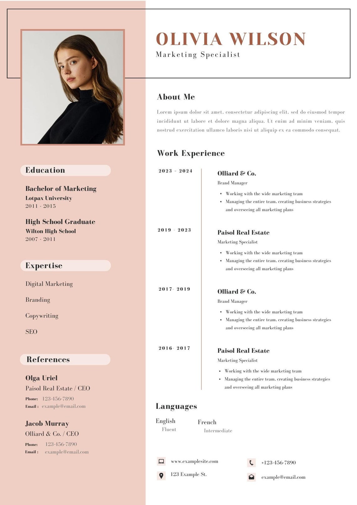 Resume Template CV Fill-in Example Professional Resume Template ...