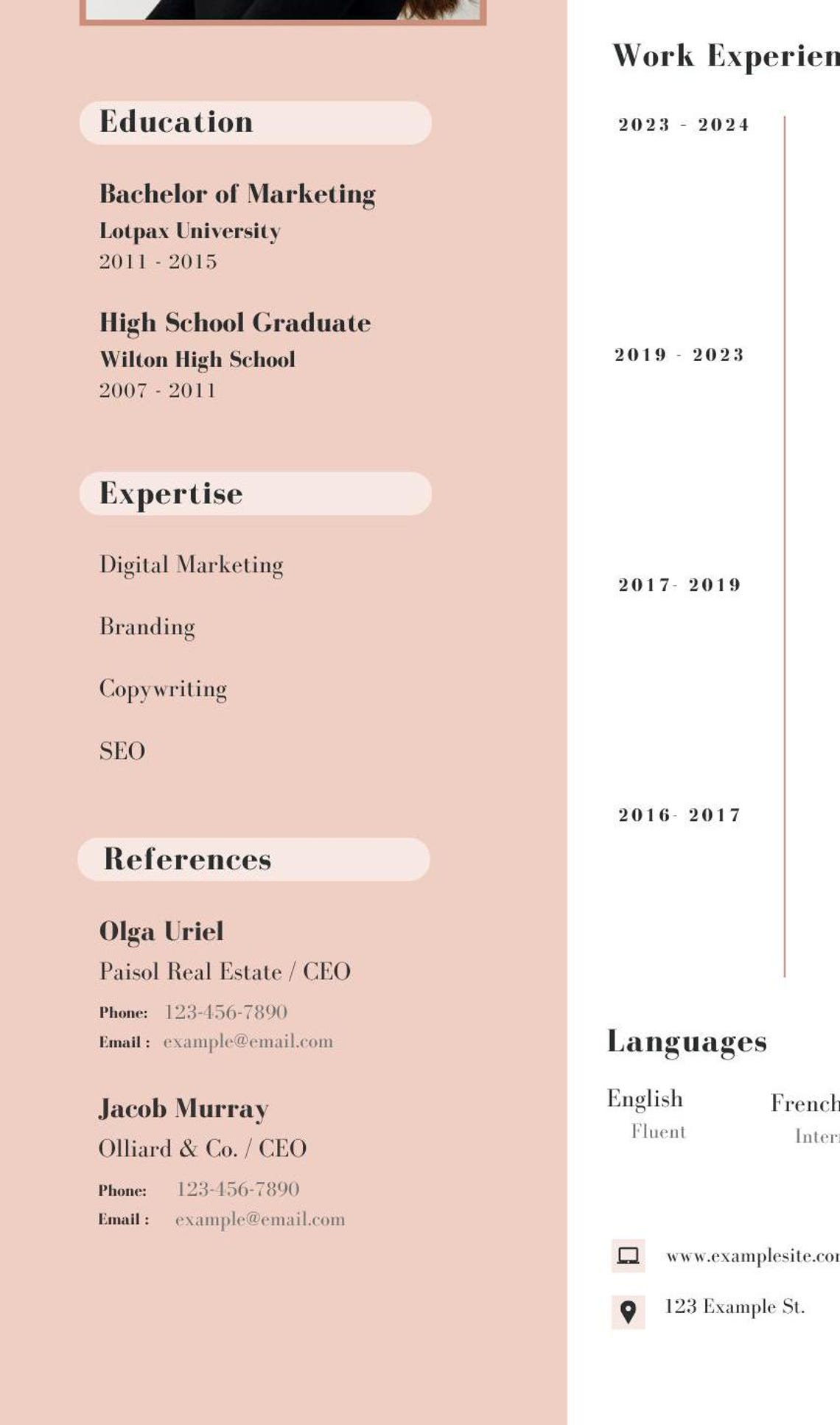 Resume Template CV Fill-in Example Professional Resume Template ...