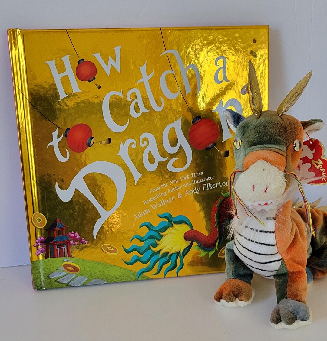 How to Catch a Dragon Book Bundle Hardback EUC Book and Plush Dragon ...