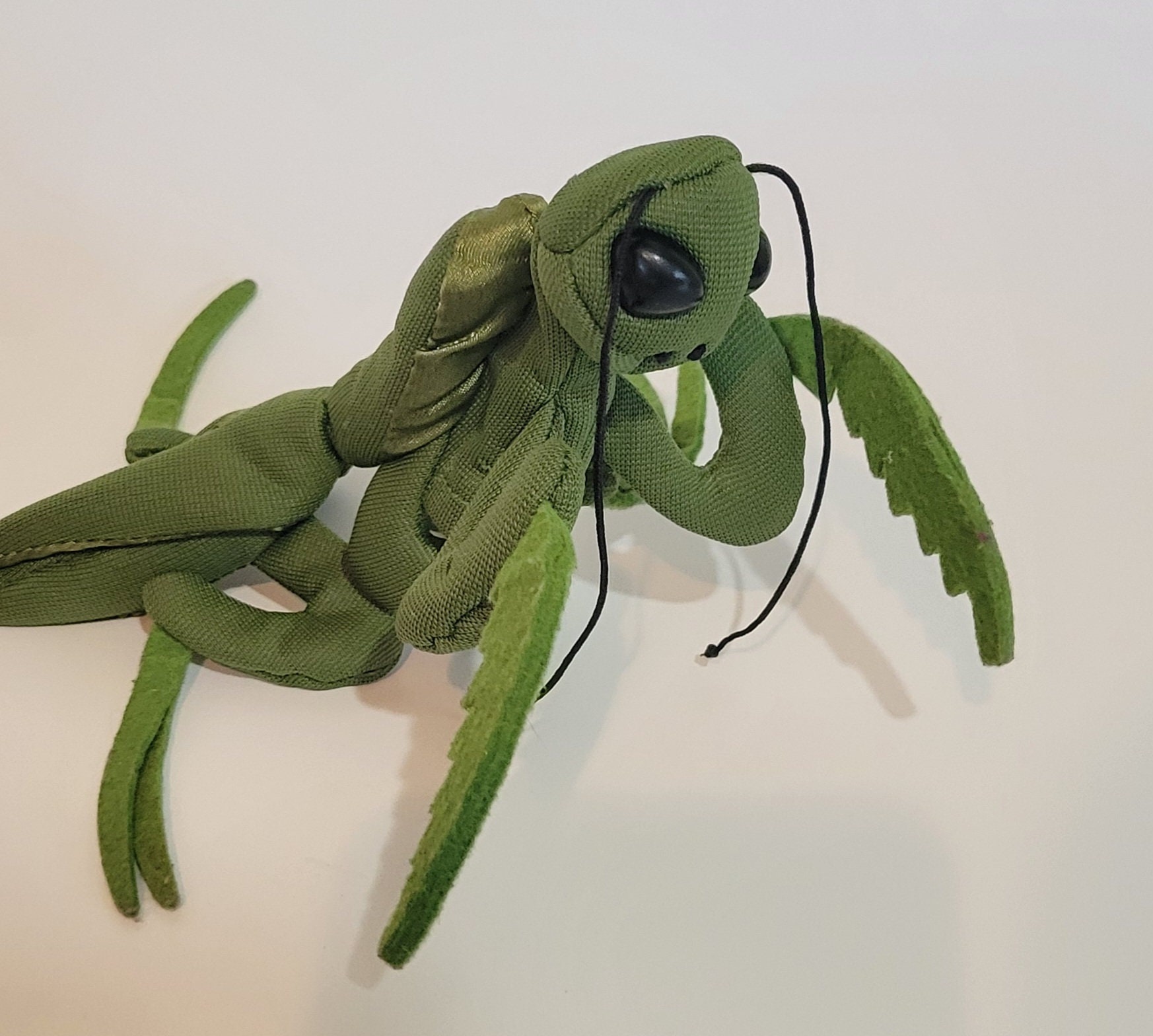 Bugs and Insects Bundle. Spider. Butterfly. Praying Mantis. Worm ...