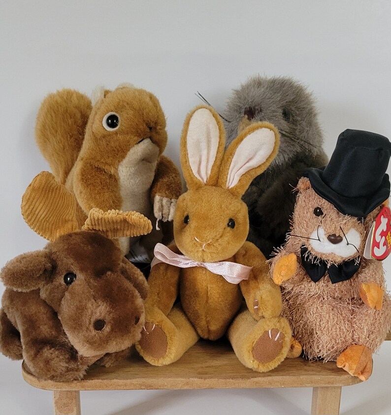 Groundhug Day Childrens Book. Complete With Groundhog Moose Squirrel ...