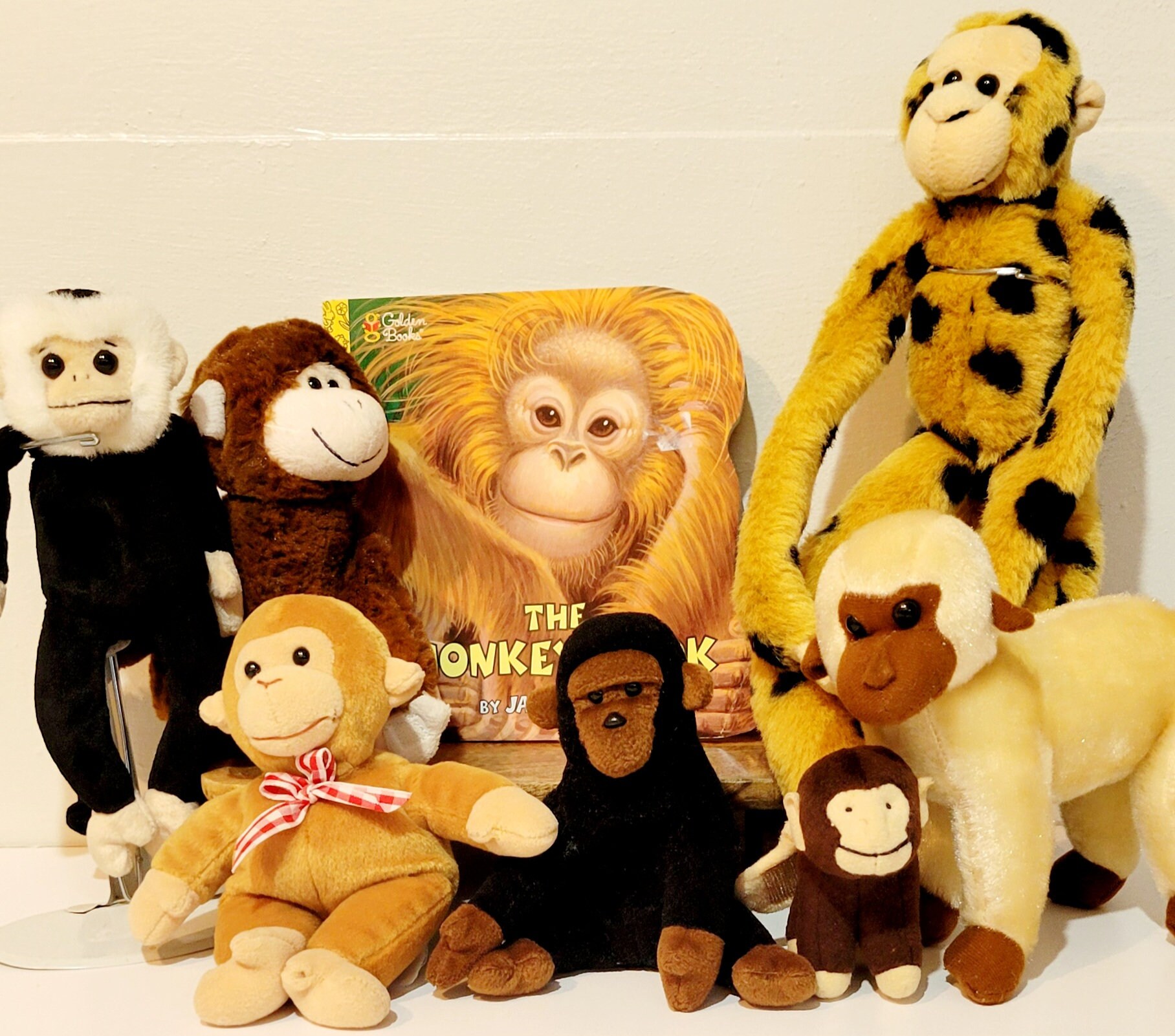 Monkey Book 7 Plush Monkeys. Classroom Library Storytime Block Center ...