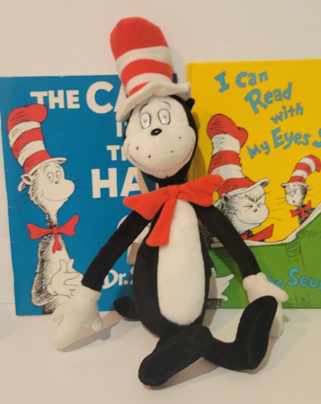 Cat in the Hat Plush Toy With Coloring Activity Books - Etsy